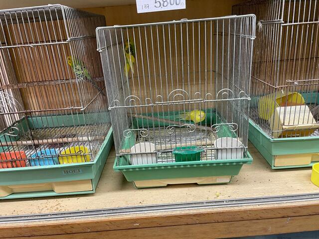 写真 : 丸豊商店 - 川崎市川崎区東田町/ペットショップ | Yahoo!マップ