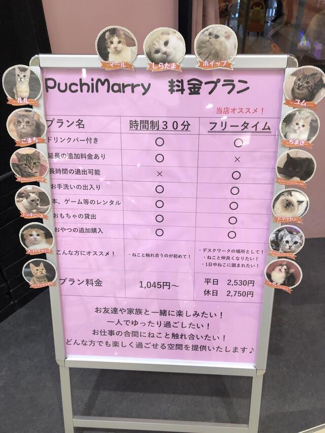 メニュー : 猫カフェPuchi Marry イオンモールかほく店 - かほく市宇野気/カフェ・喫茶 | Yahoo!マップ
