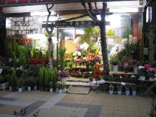 グリーンショップマルヤス - 名古屋市西区上名古屋/花屋 | Yahoo!マップ