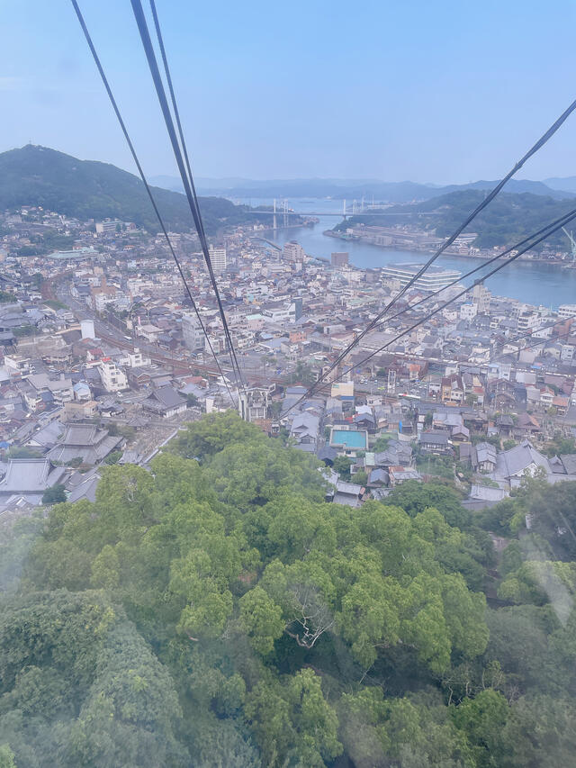 写真 : 日講寺 - 岡山市北区横井上/寺院 | Yahoo!マップ
