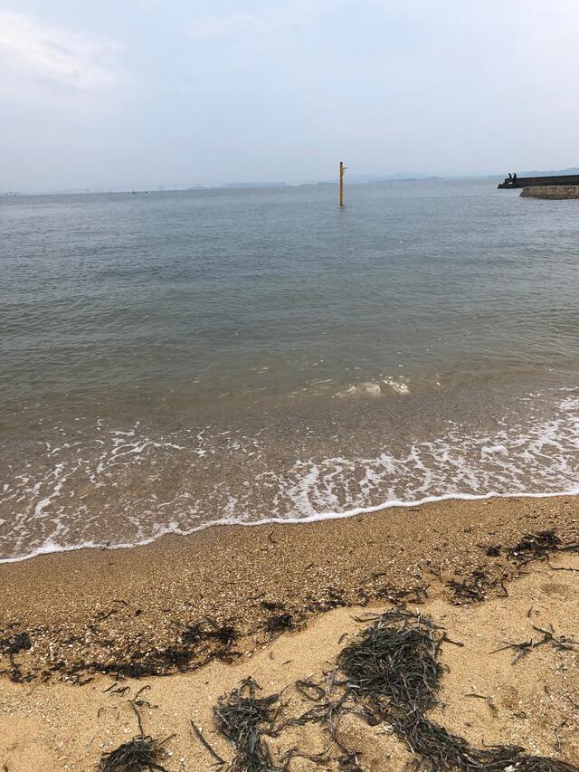 写真 : 釣具のポイント 岡山西バイパス店 - 岡山市北区田中/釣具店 | Yahoo!マップ