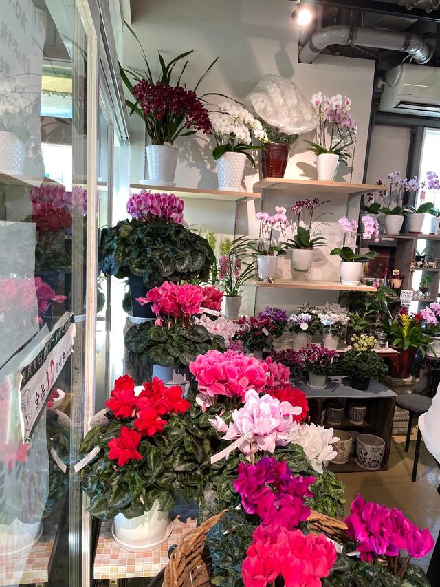 写真 : グリーンホビー - 調布市佐須町/園芸用品店 | Yahoo!マップ