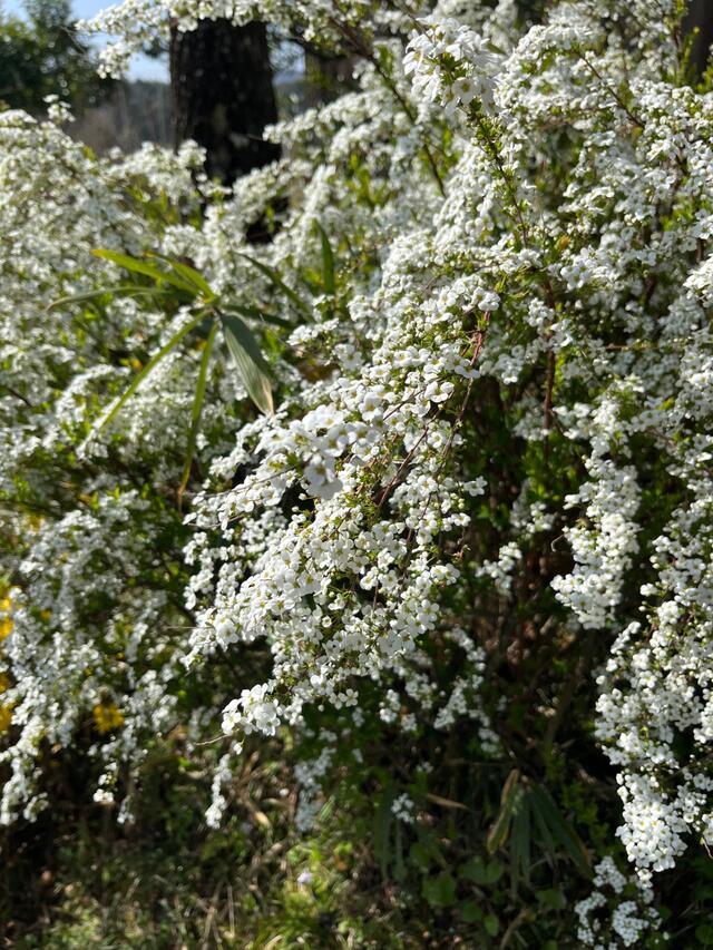写真 : 杉山陶房 - 丹波篠山市瀬利/日用品雑貨製造・卸売業 | Yahoo!マップ