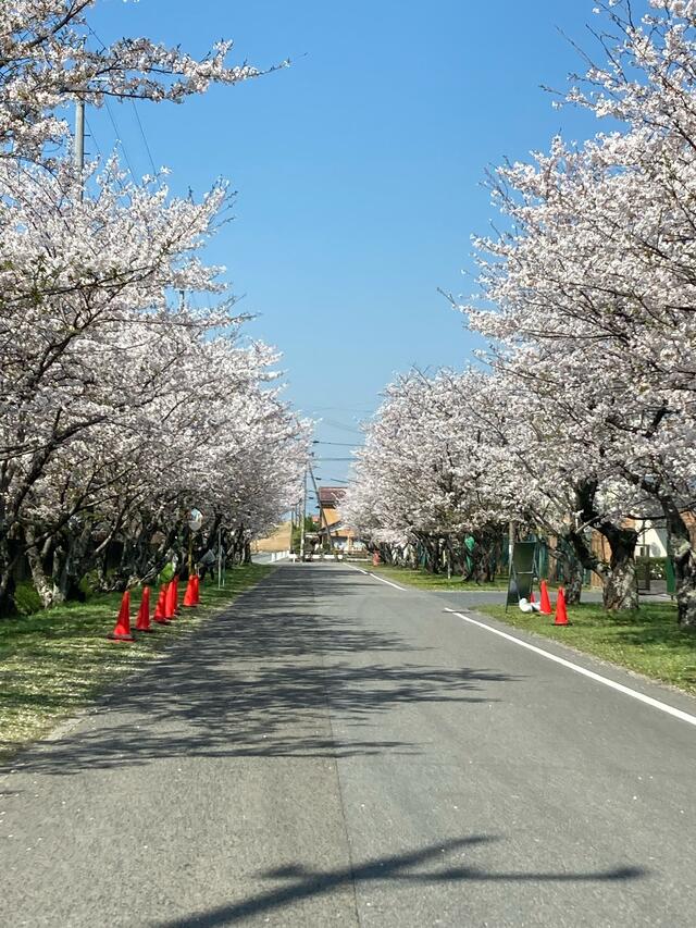 クチコミ : 宝酒造楠工場 - 四日市市楠町南五味塚/工場 | Yahoo!マップ