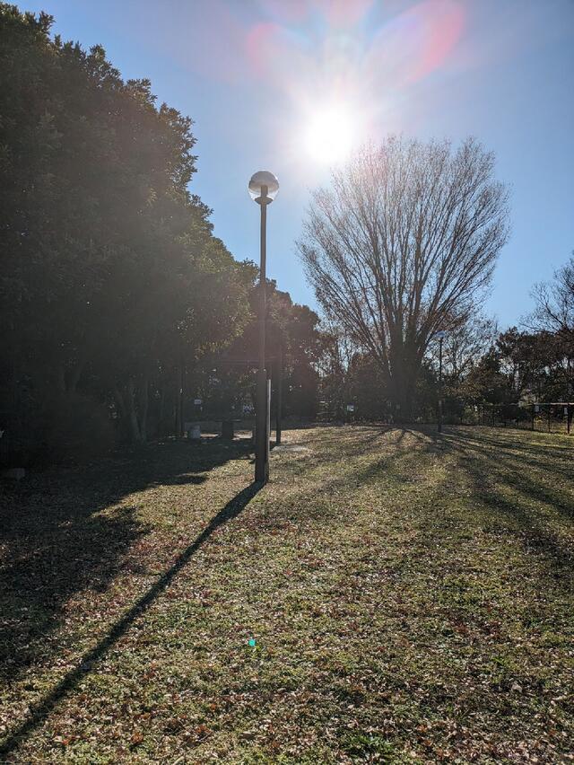写真 : 若宮自然広場 - 調布市上石原/公園 | Yahoo!マップ