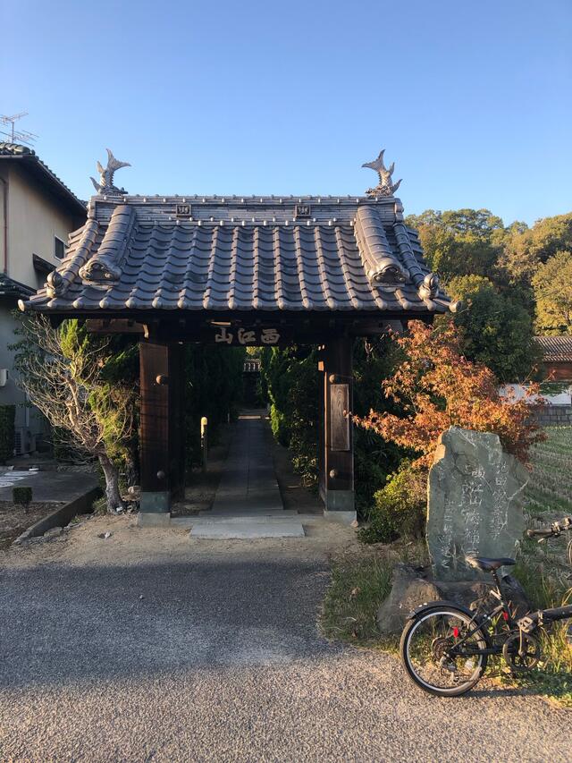 写真 : 海禅寺 - 倉敷市藤戸町天城/寺院 | Yahoo!マップ