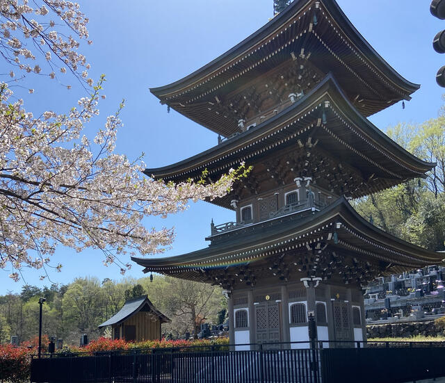 写真 : 大雄院 - 桐生市広沢町/寺院 | Yahoo!マップ