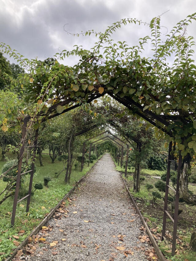 写真 : シミック八ケ岳薬用植物園 - 北杜市小淵沢町上笹尾/植物園 | Yahoo!マップ