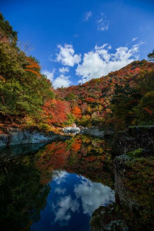 匹見峡 - 益田市匹見町匹見/紅葉スポット | Yahoo!マップ