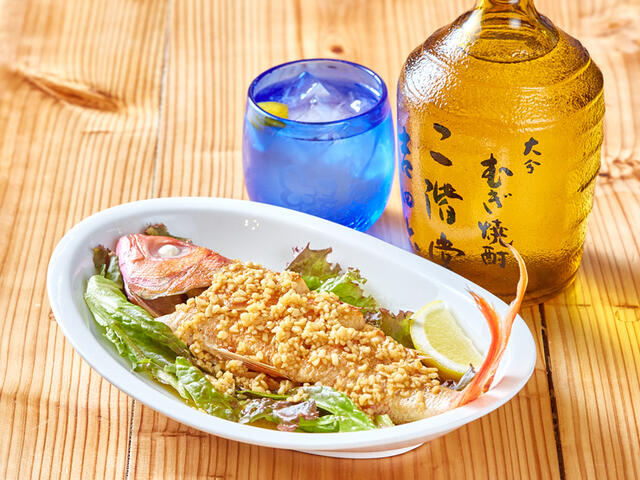 琉波 - 国頭郡本部町字谷茶 | Yahoo!マップ