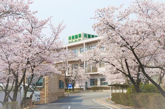 チェリーガーデン - 上田市保野/介護老人保健施設 | Yahoo!マップ