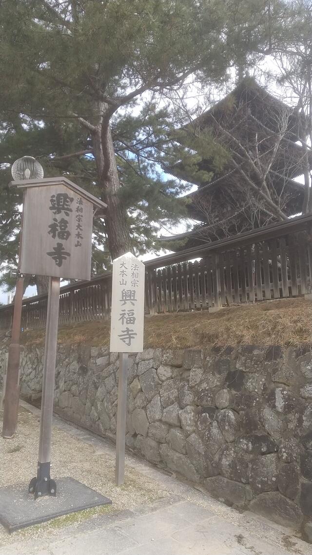 写真 : 興福寺本坊 - 奈良市登大路町/寺院 | Yahoo!マップ