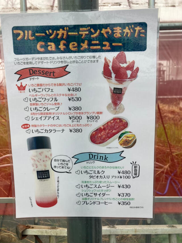 株式会社フルーツガーデンやまがた - 鳴門市大津町大代/観光案内所 | Yahoo!マップ