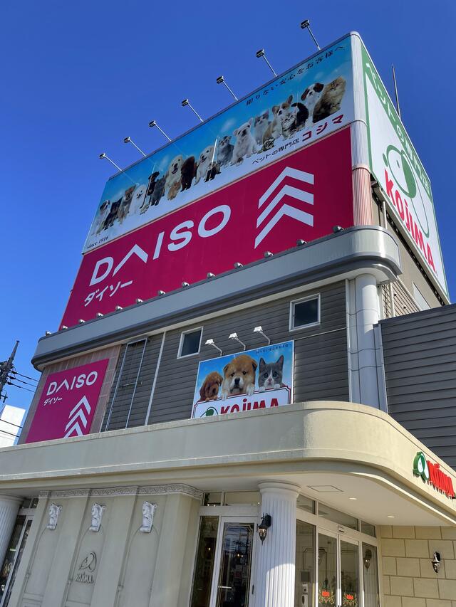 写真 : DAISO 花小金井店 - 小平市花小金井/100円ショップ | Yahoo!マップ
