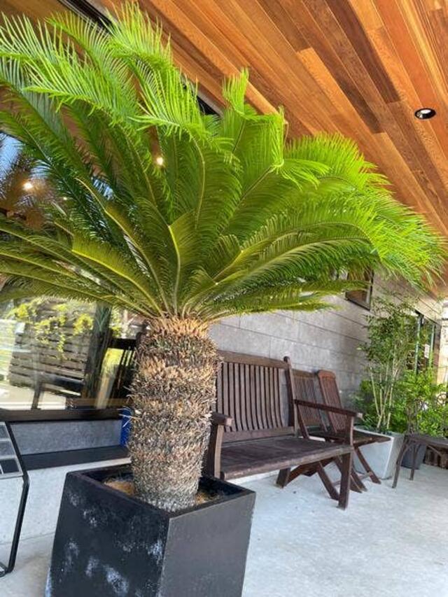 写真 : OCgarden - 新潟市西蒲区竹野町/カフェ・喫茶 | Yahoo!マップ