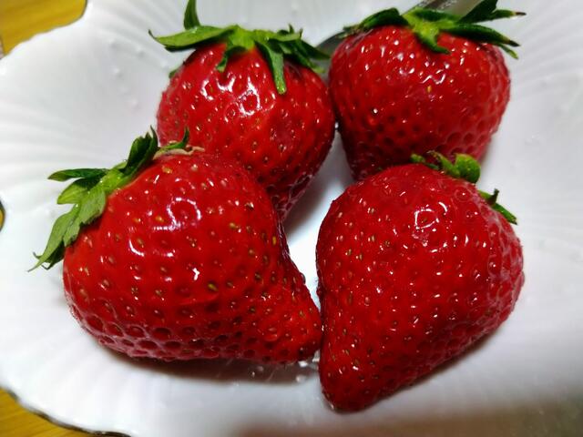 写真 : ハヤシフルーツ 青葉台店 - 横浜市青葉区青葉台/青果店 | Yahoo!マップ