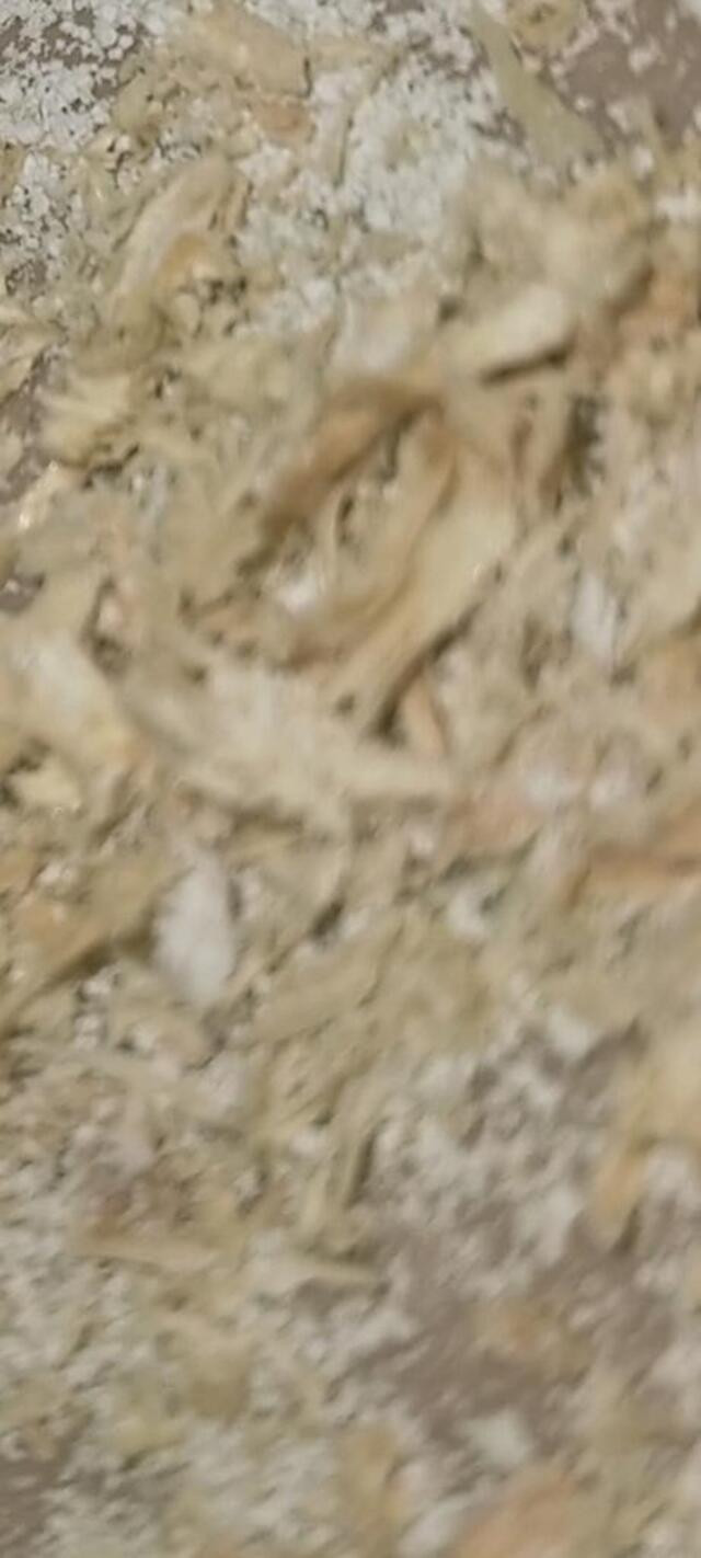 大福ホーム株式会社 - 福山市霞町/企業・オフィス | Yahoo!マップ