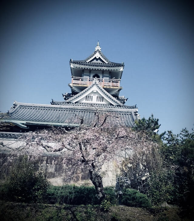 写真 : 吉田町展望台小山城 - 榛原郡吉田町片岡/展望台 | Yahoo!マップ