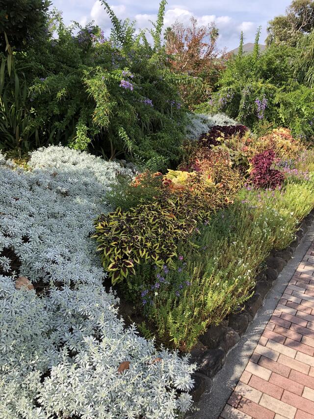 写真 : ニューヨークランプミュージアム&フラワーガーデン ランプカフェ - 伊東市富戸/飲食店 | Yahoo!マップ