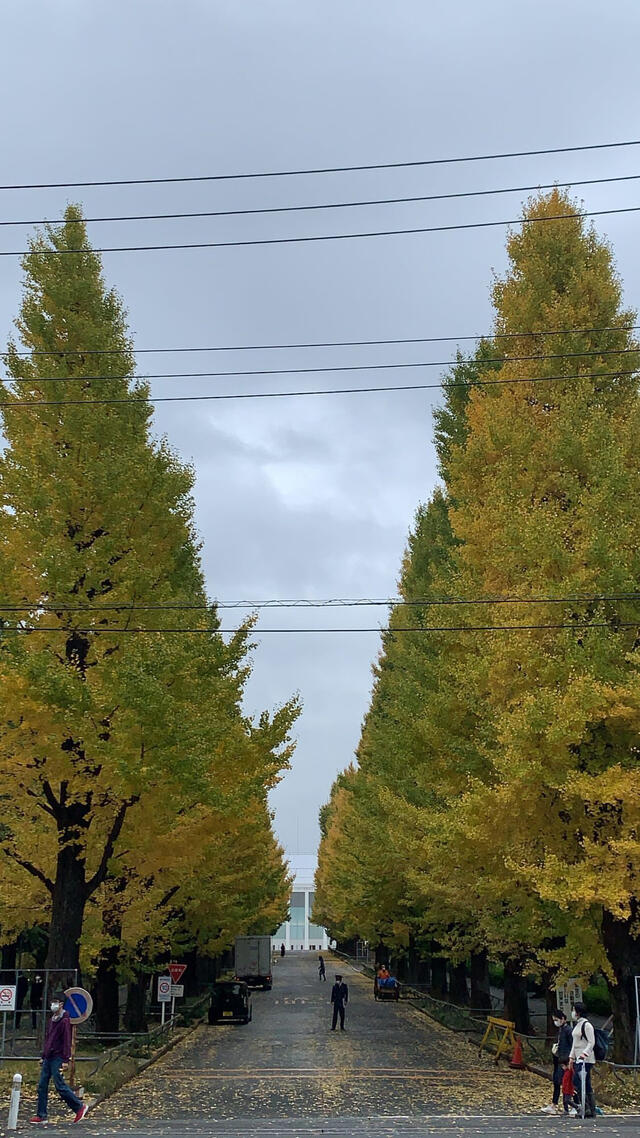 地図 : 慶應義塾高等学校 - 横浜市港北区日吉/高校 | Yahoo!マップ