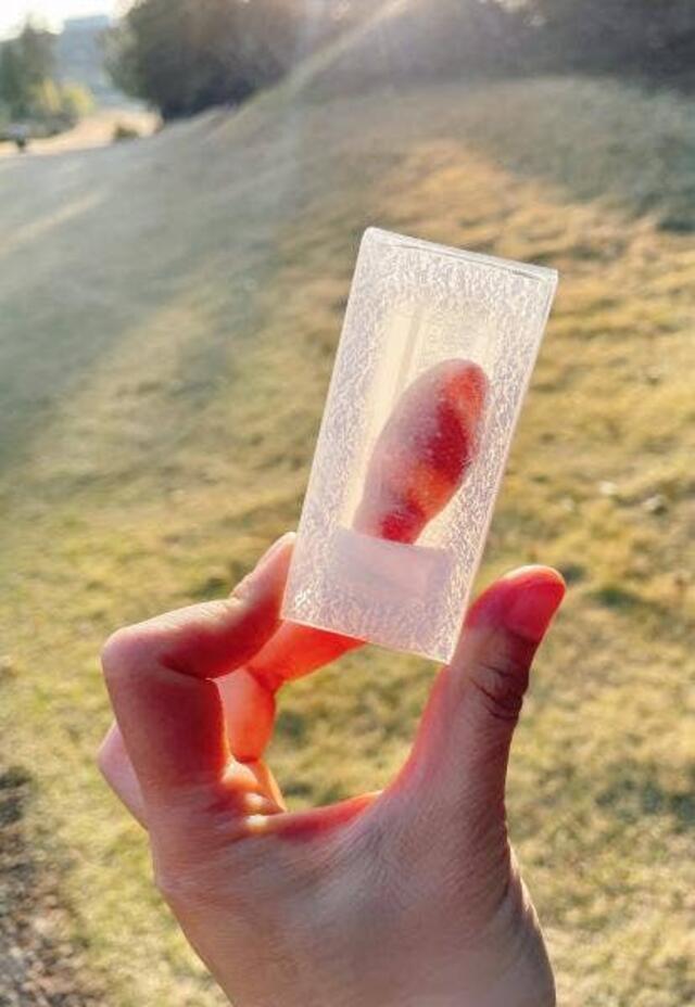 メニュー : 共楽堂 銀座三越店 - 中央区銀座/和菓子店 | Yahoo!マップ