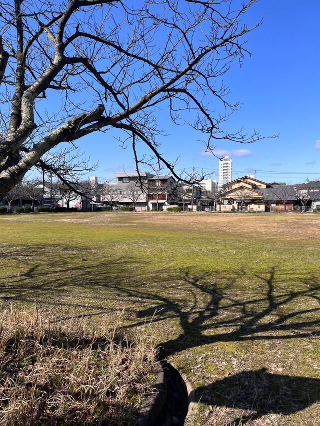 写真 : 丹鳥公園 - 福井市学園/公園 | Yahoo!マップ